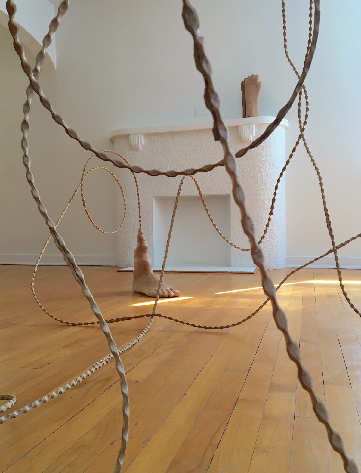 Megan Feniak – sofammfa