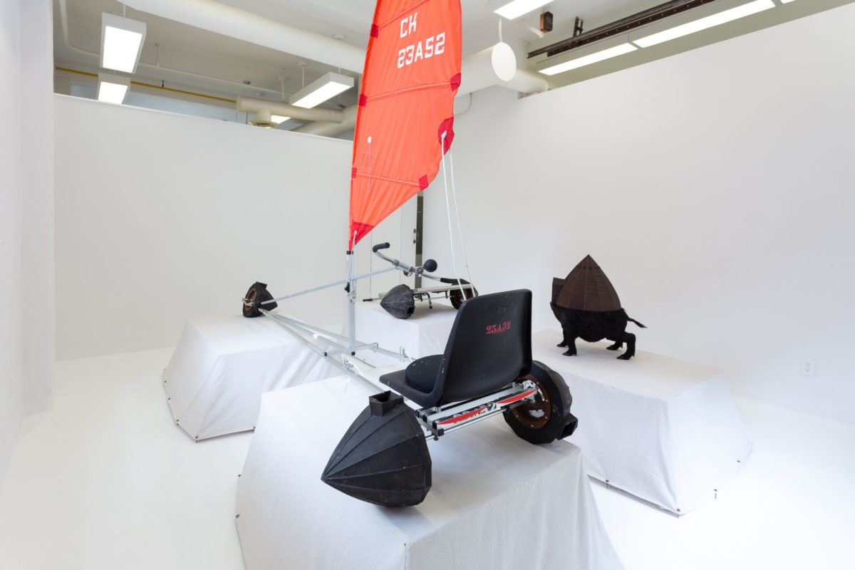 Connie Wilson – sofammfa