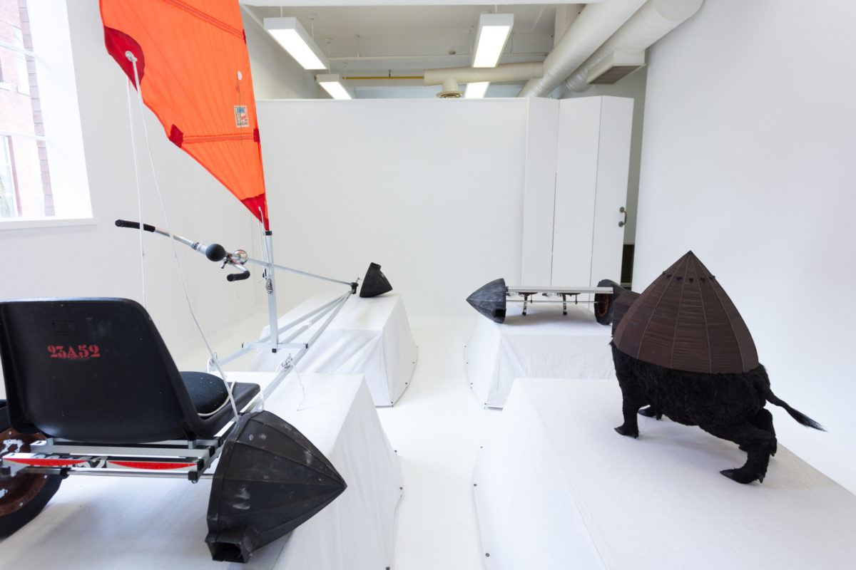 Connie Wilson – sofammfa