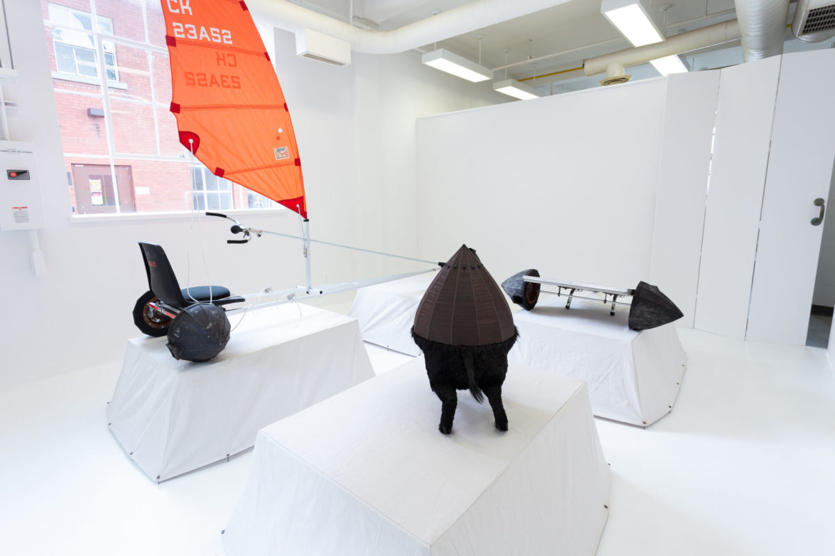 Connie Wilson – sofammfa