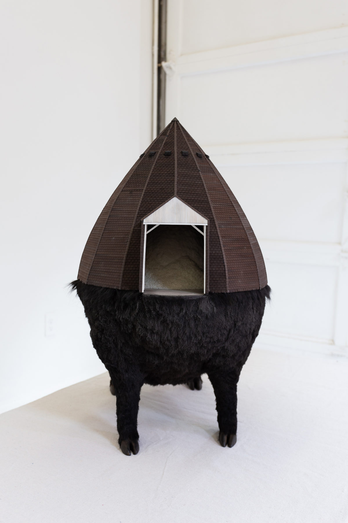 Connie Wilson – sofammfa