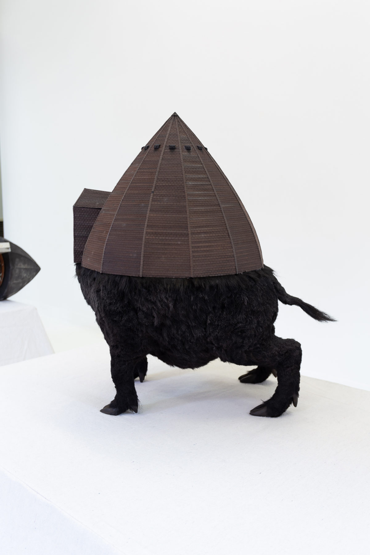 Connie Wilson – sofammfa