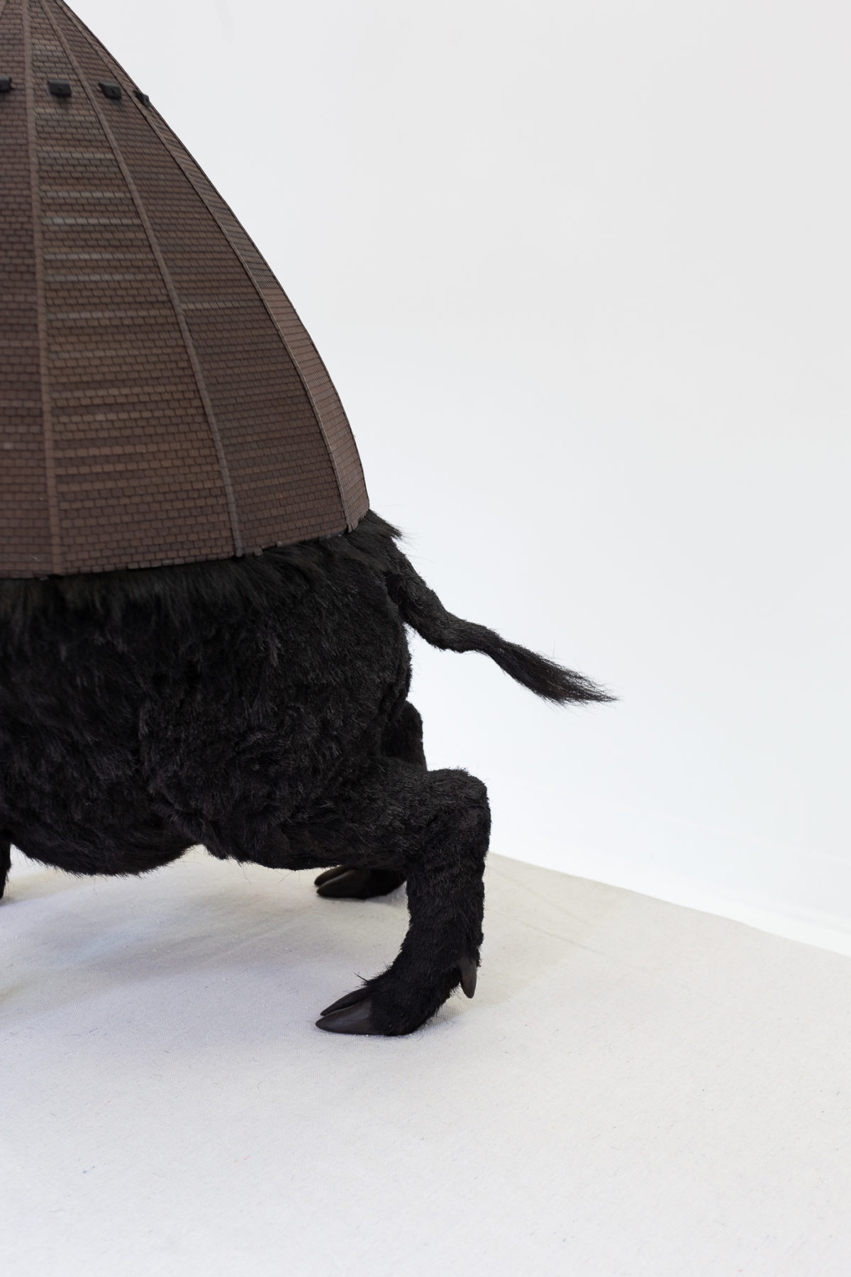 Connie Wilson – sofammfa